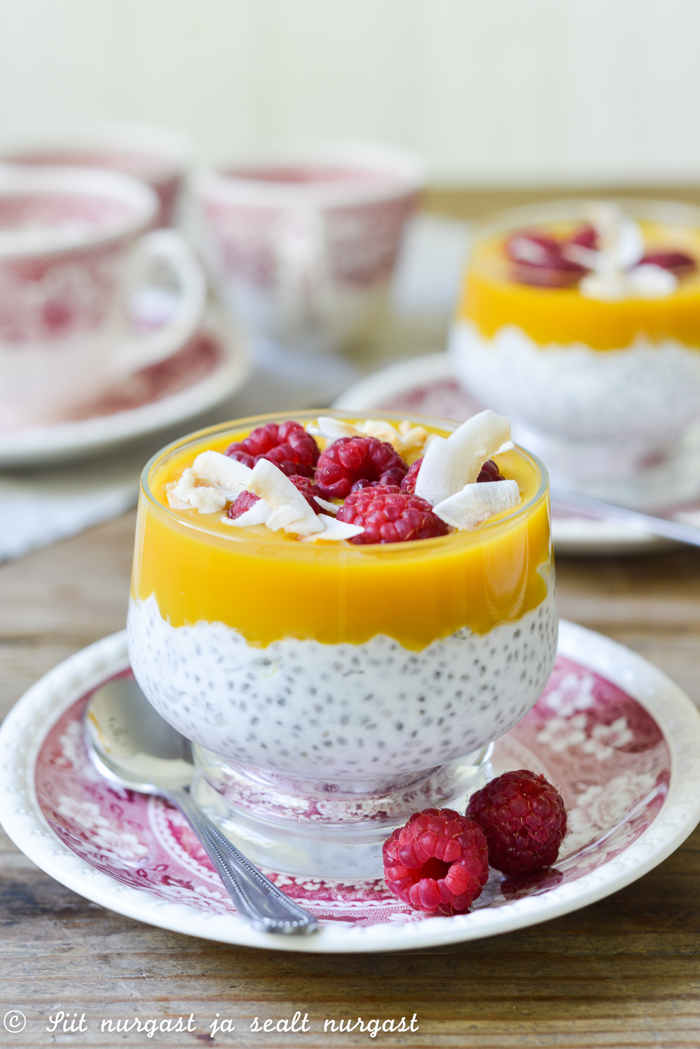 Kookose-mango magustoit vaarikatega